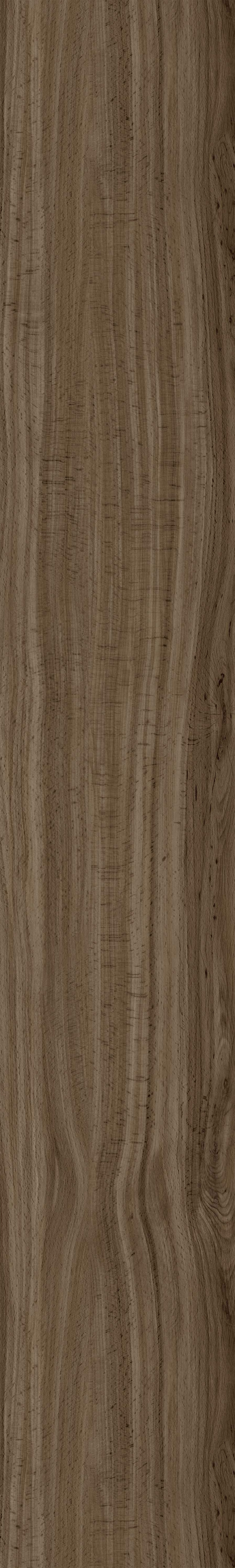 Cohiba - Cobalt Surfaces
