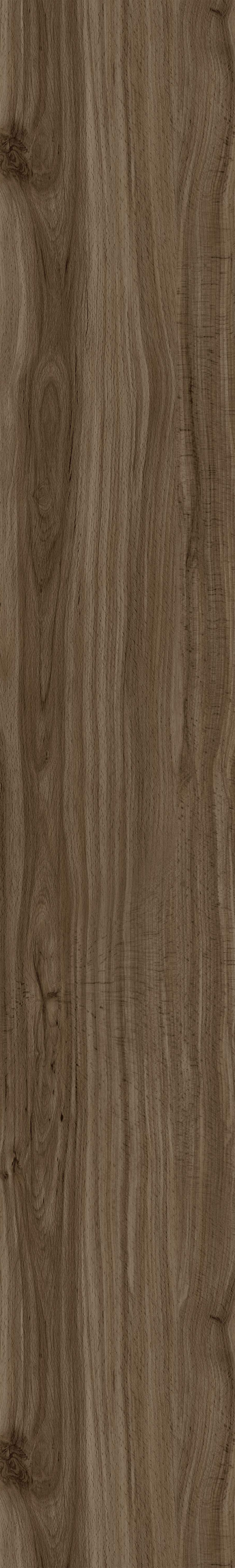 Cohiba - Cobalt Surfaces