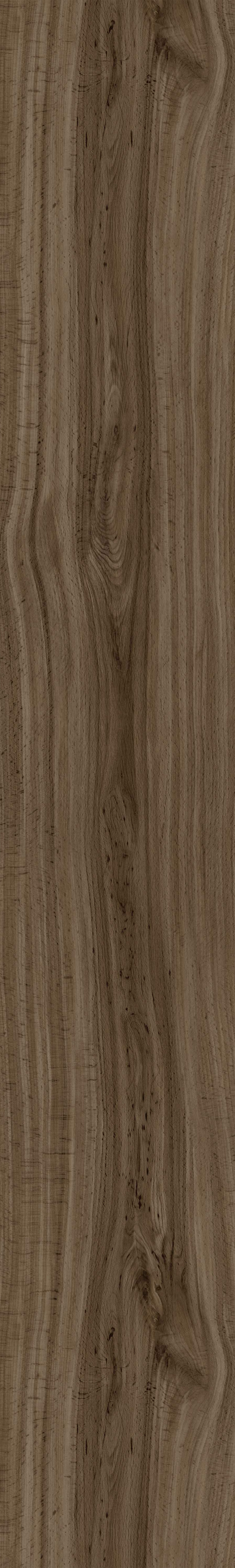 Cohiba - Cobalt Surfaces